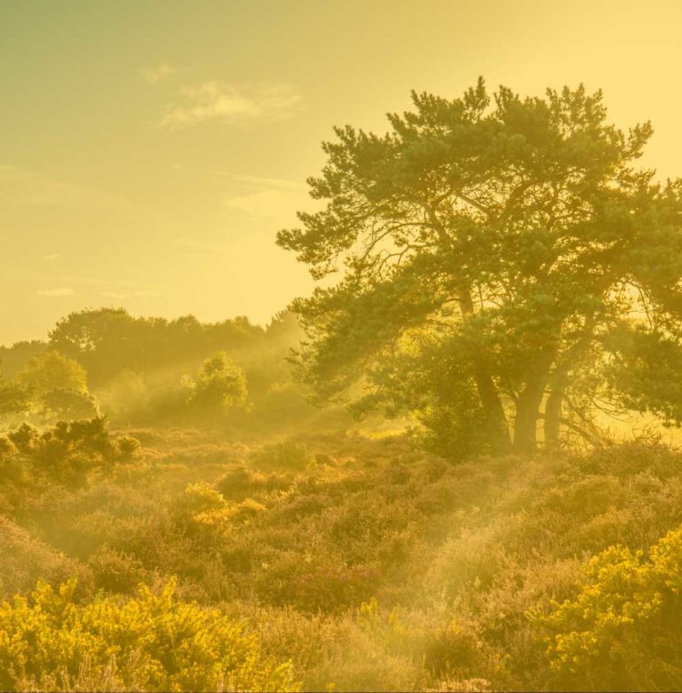 Home | GRM Development Solutions