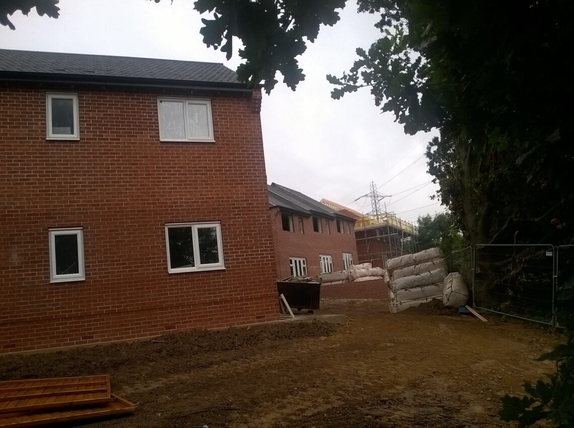 Understanding the Impact of Existing and New Trees on Building ...