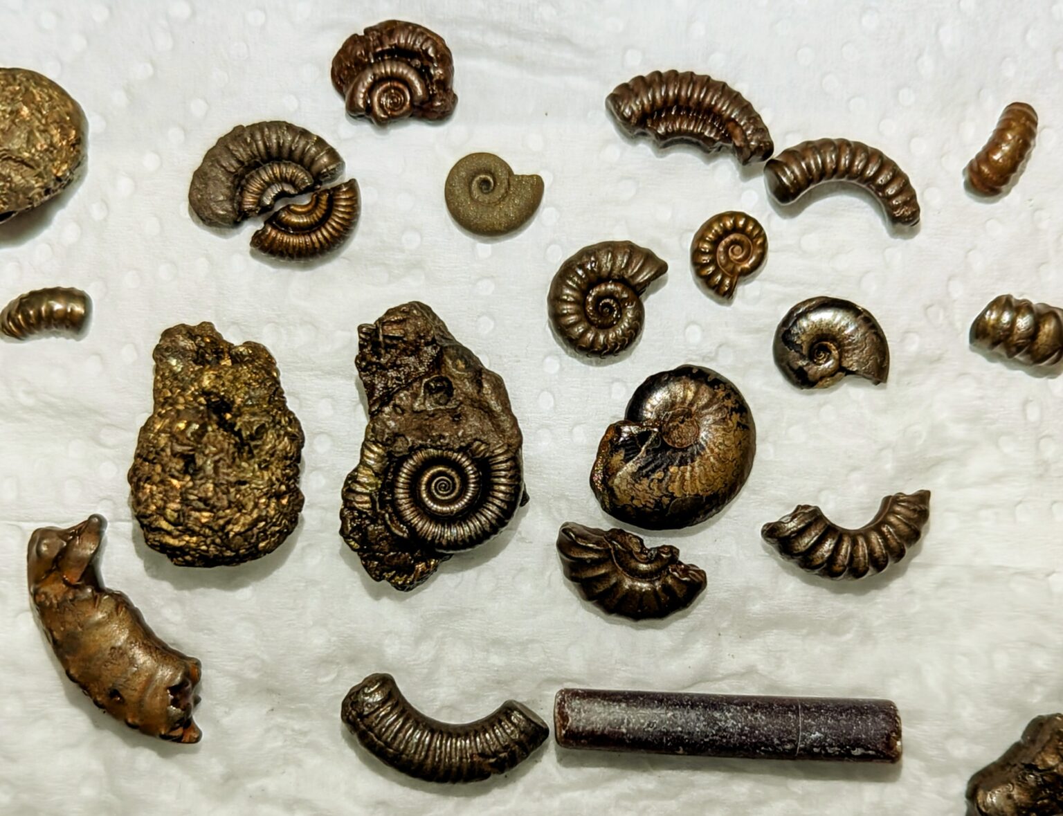 We Prepare Them Early at GRM! | GRM Development Solutions